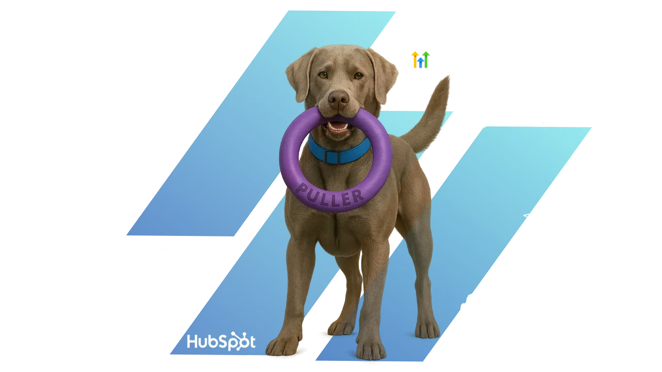 Loyal Lab Designs