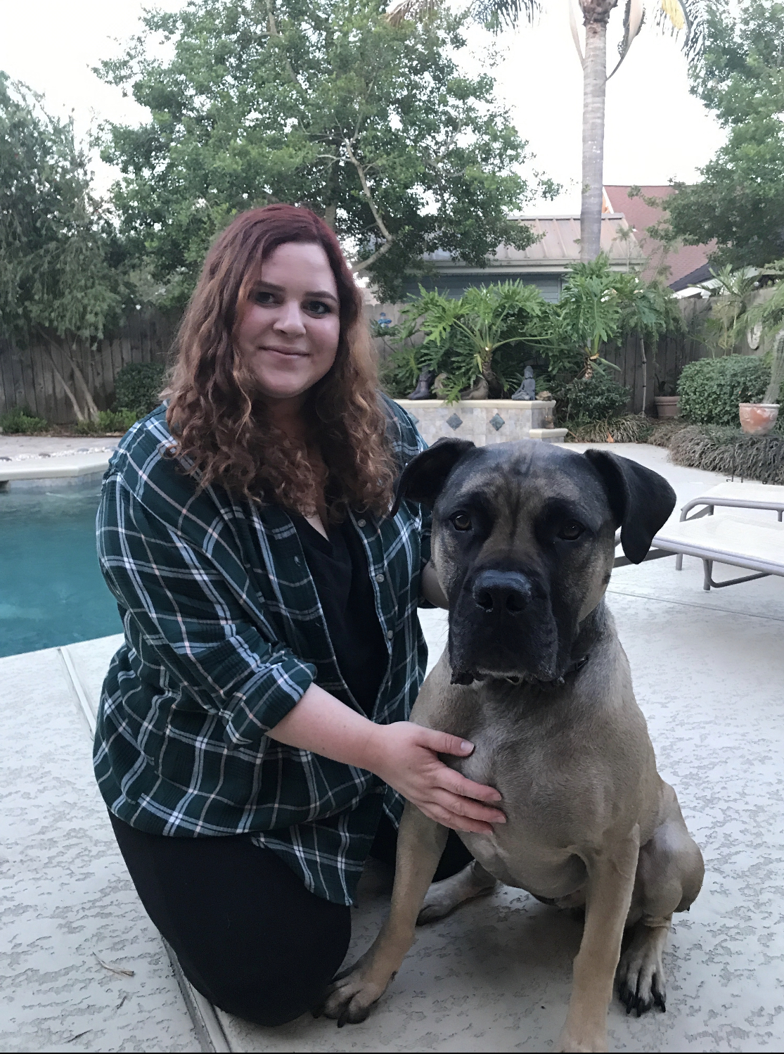 Effective Dog Obedience Training | Establish Control and Harmony