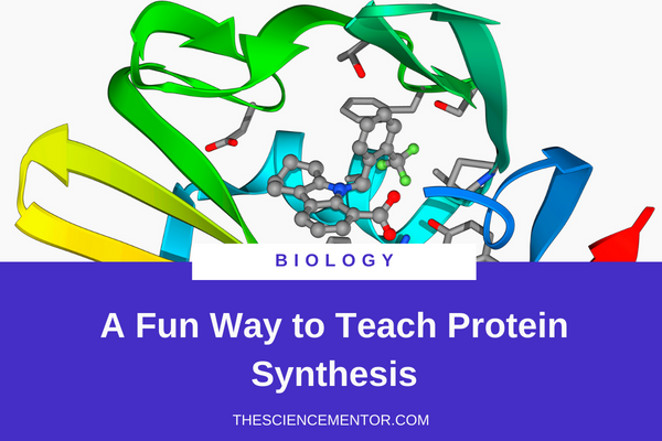 A Fun Way to Teach Protein Synthesis