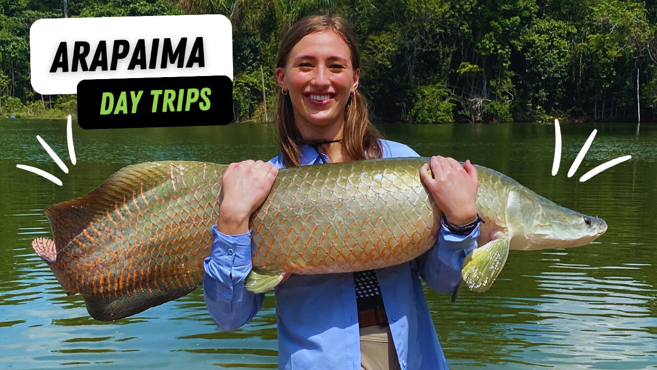 Arapaima Fishing Trip Brazil | Giant Amazon River Monster Fish