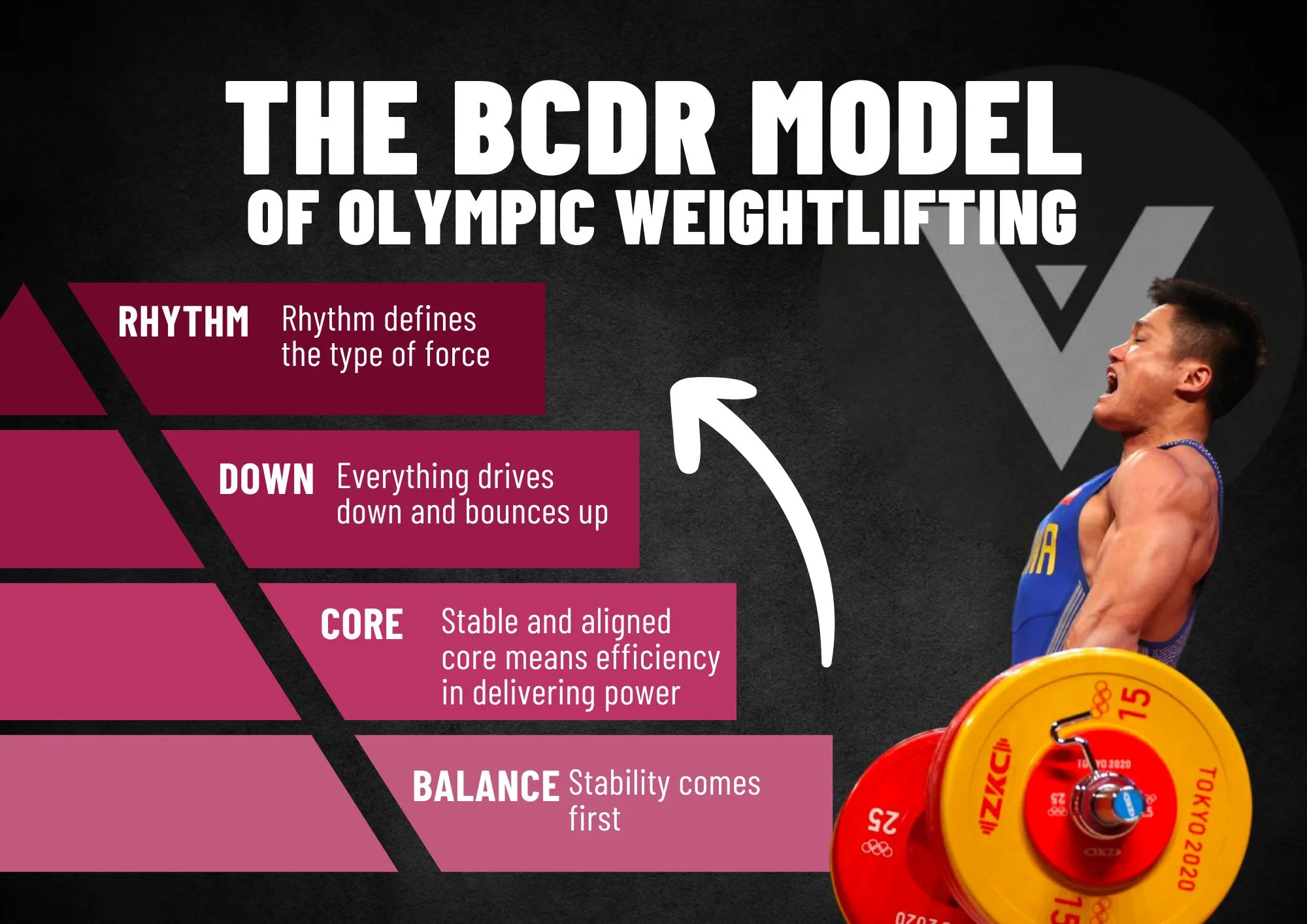 Venus Weightlifting Articles