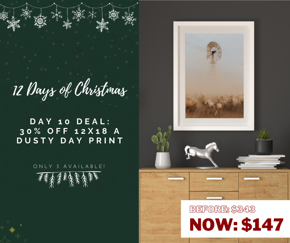Day 10 Christmas Offer