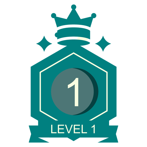 Level 1 - Basic Service