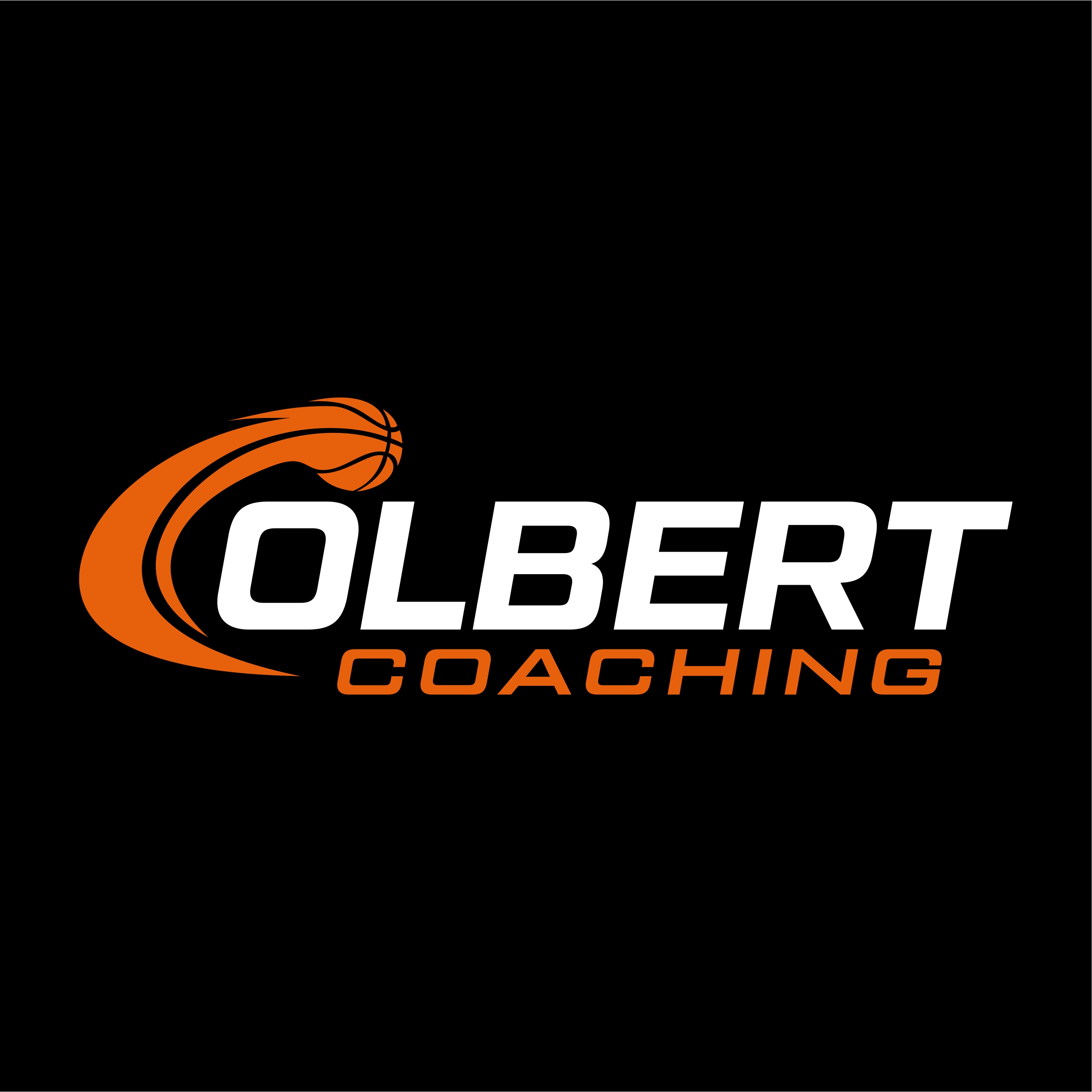 Colbert Coaching LLC
