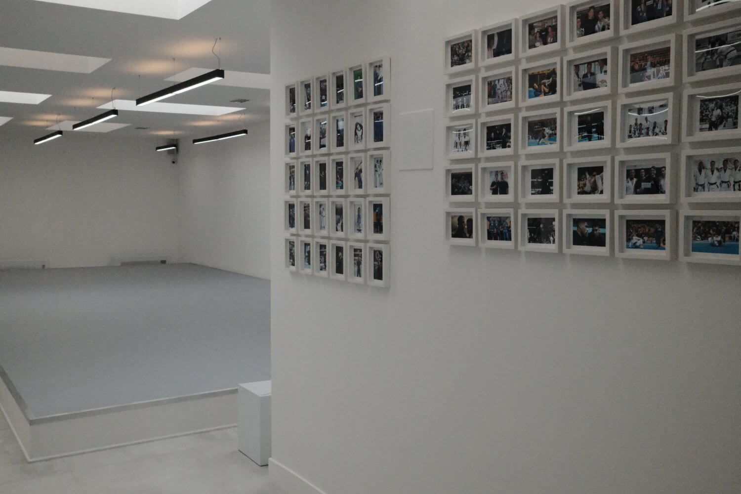 APEX Jiu-Jitsu Facility