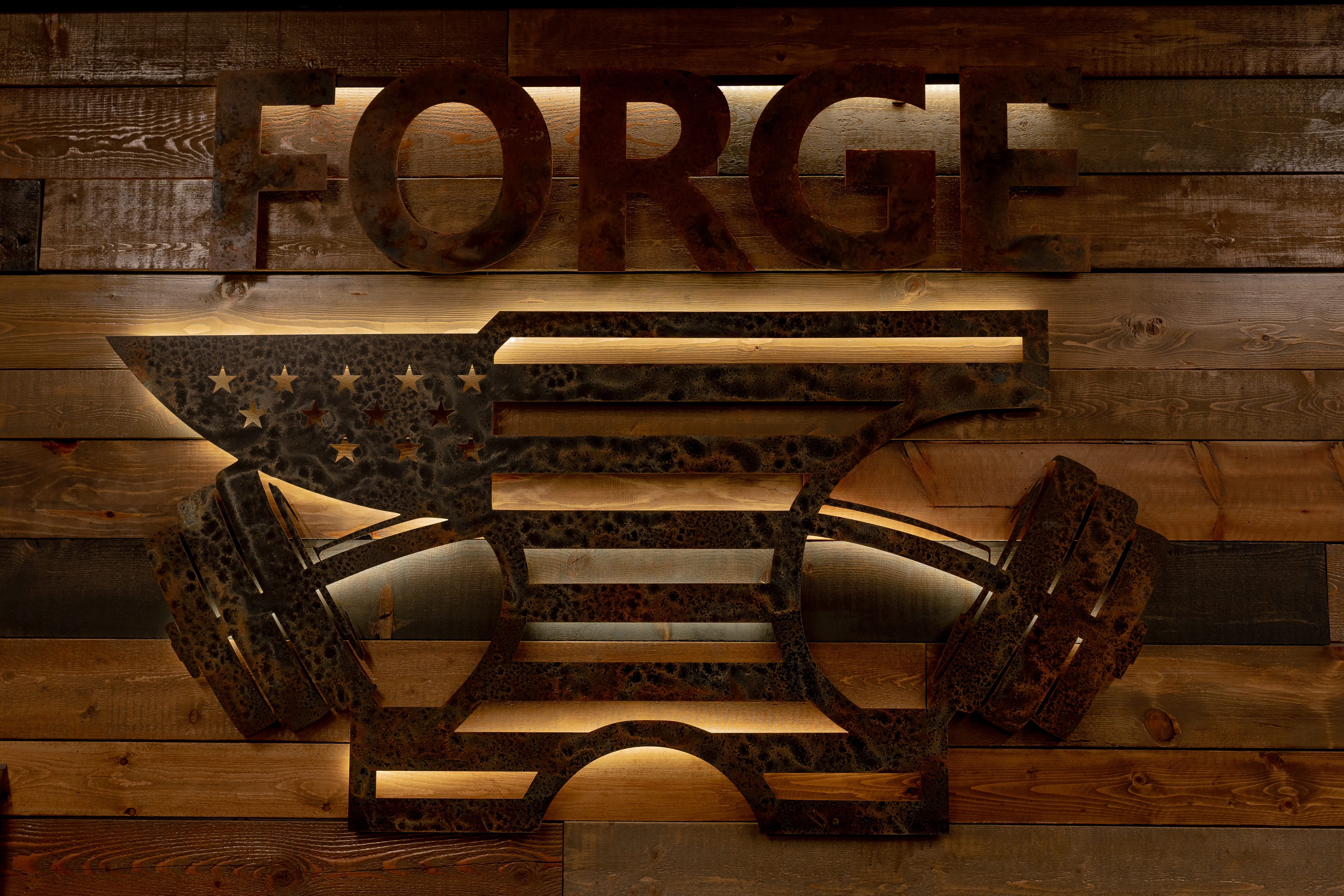 Forge Training And Performance