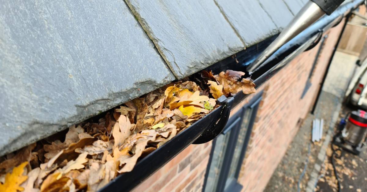 Gutter Clearance | CJ External Cleaning | Wiltshire & Somerset