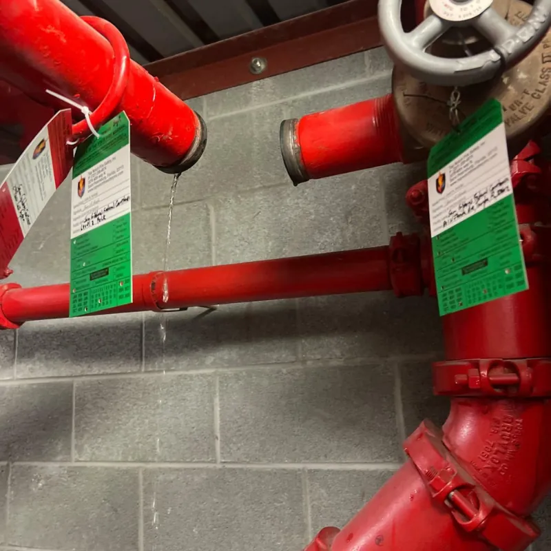Our Fire Safety Projects | View Our Expertise