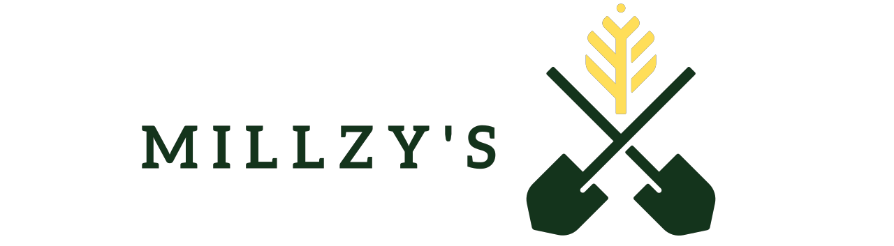 Property Care Services in Rockhampton | Millzy's