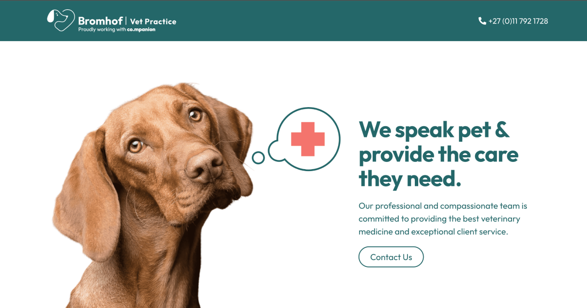 Trusted Veterinary Care in Randburg | Bromhof Vet Practice
