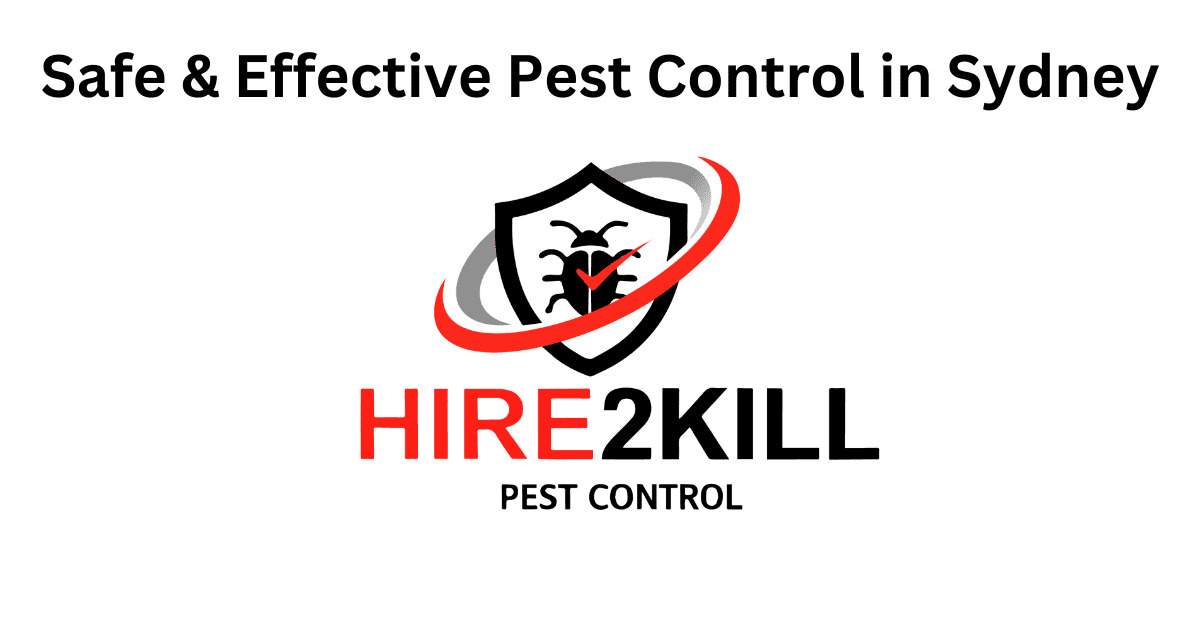 hire2kill-sydney-s-expert-pest-control-termite-treatment-services