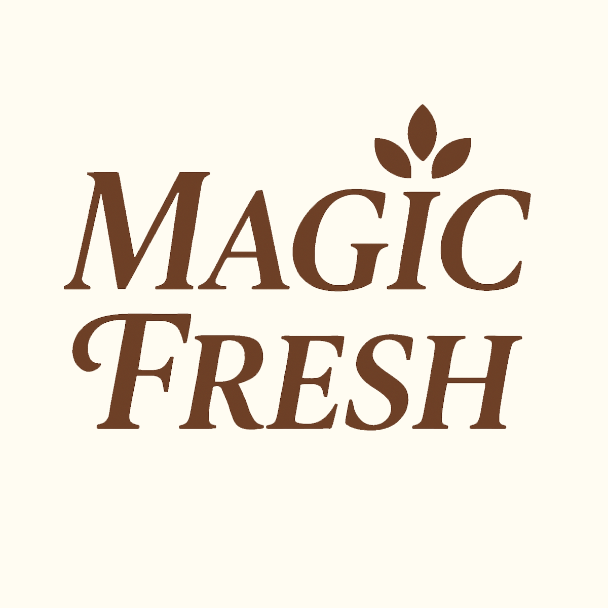 Magic Fresh Cleaning