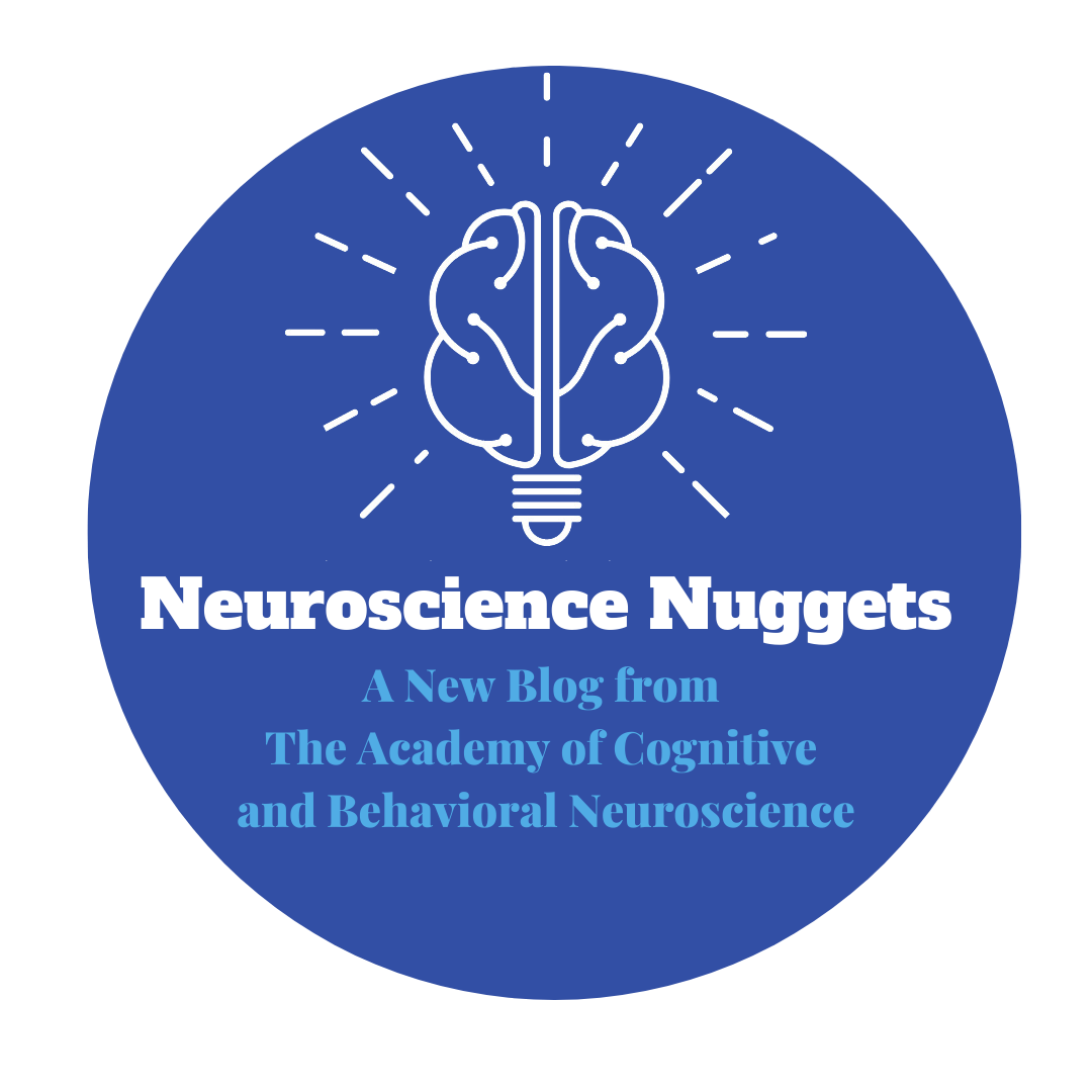 neuroscience blog