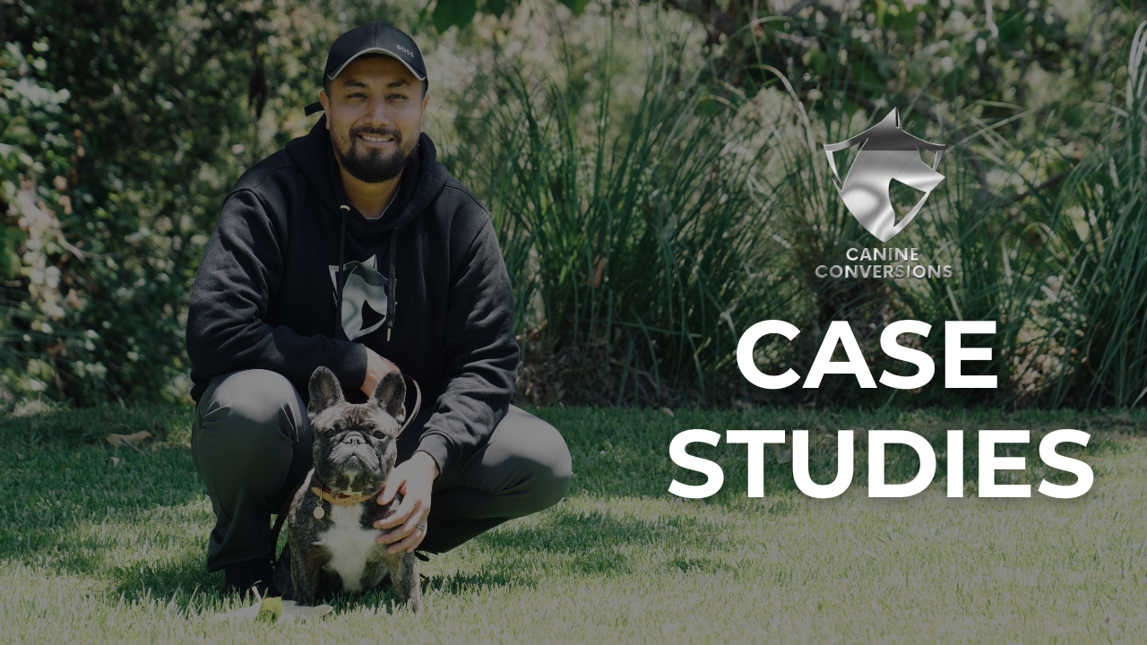 Canine Conversions | Case Studies | Wins