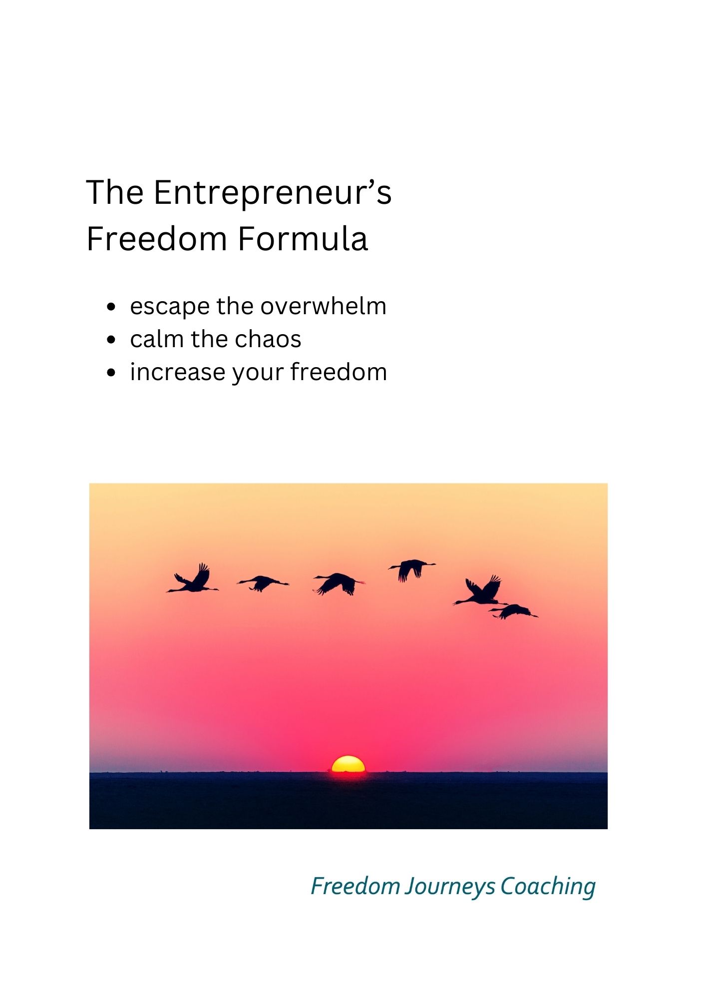 The Entrepreneur's Freedom Formula