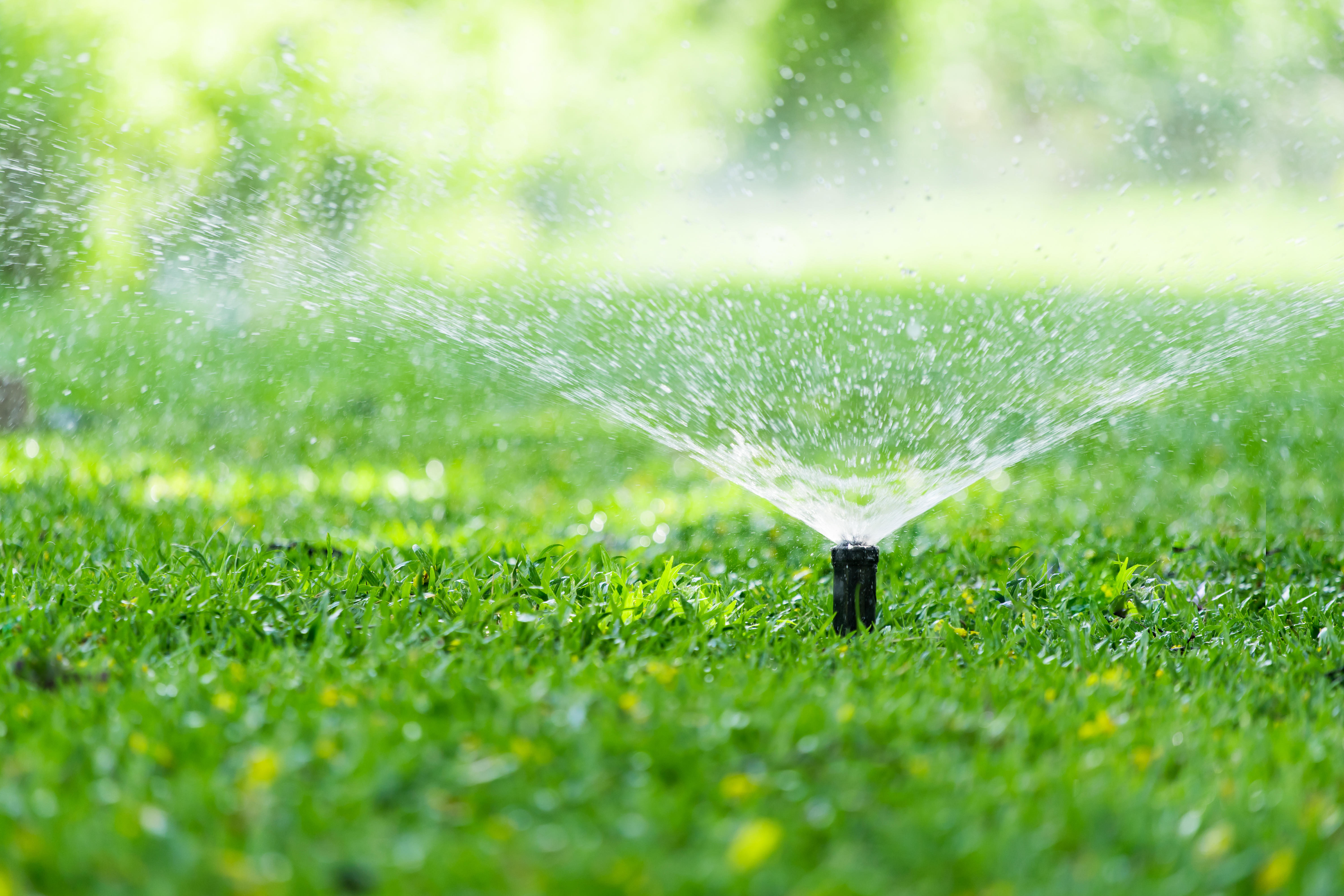 Irrigation & Water Management | Hillsborough County | NewLeaf Horticulture