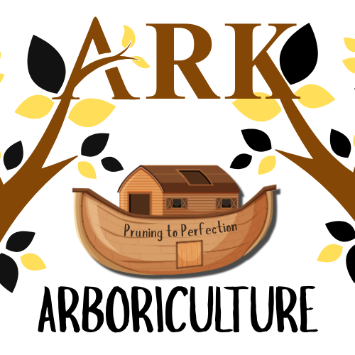 Tree Surgeon Southampton & Hampshire | Ark Arboriculture