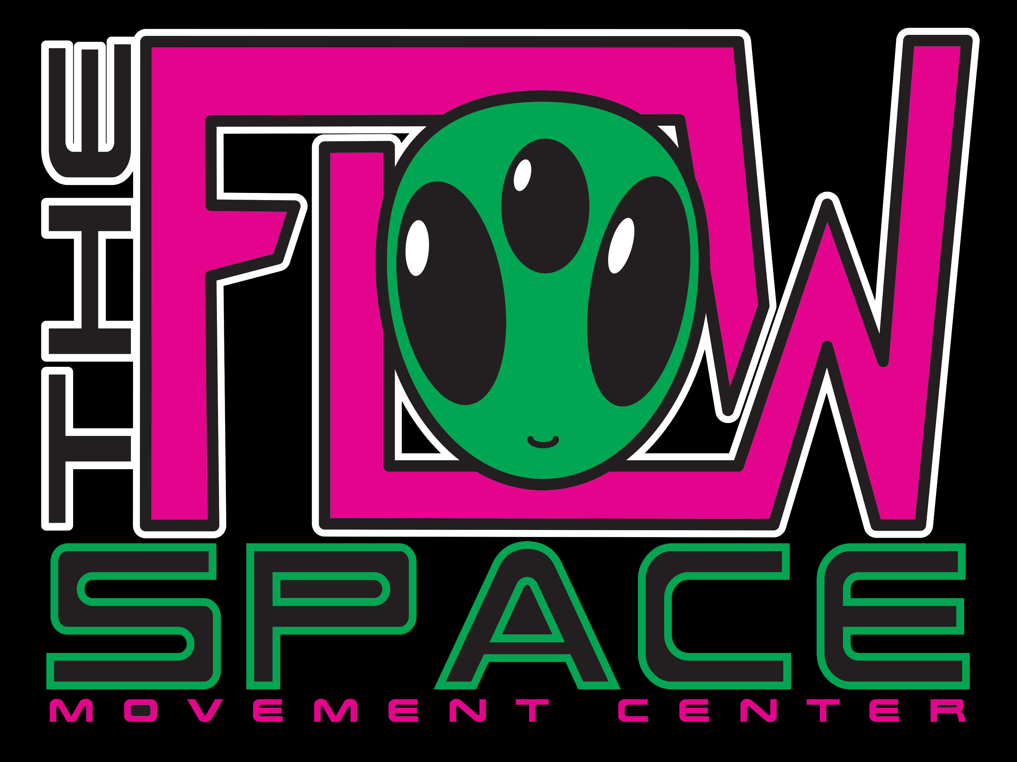 The Flow Space