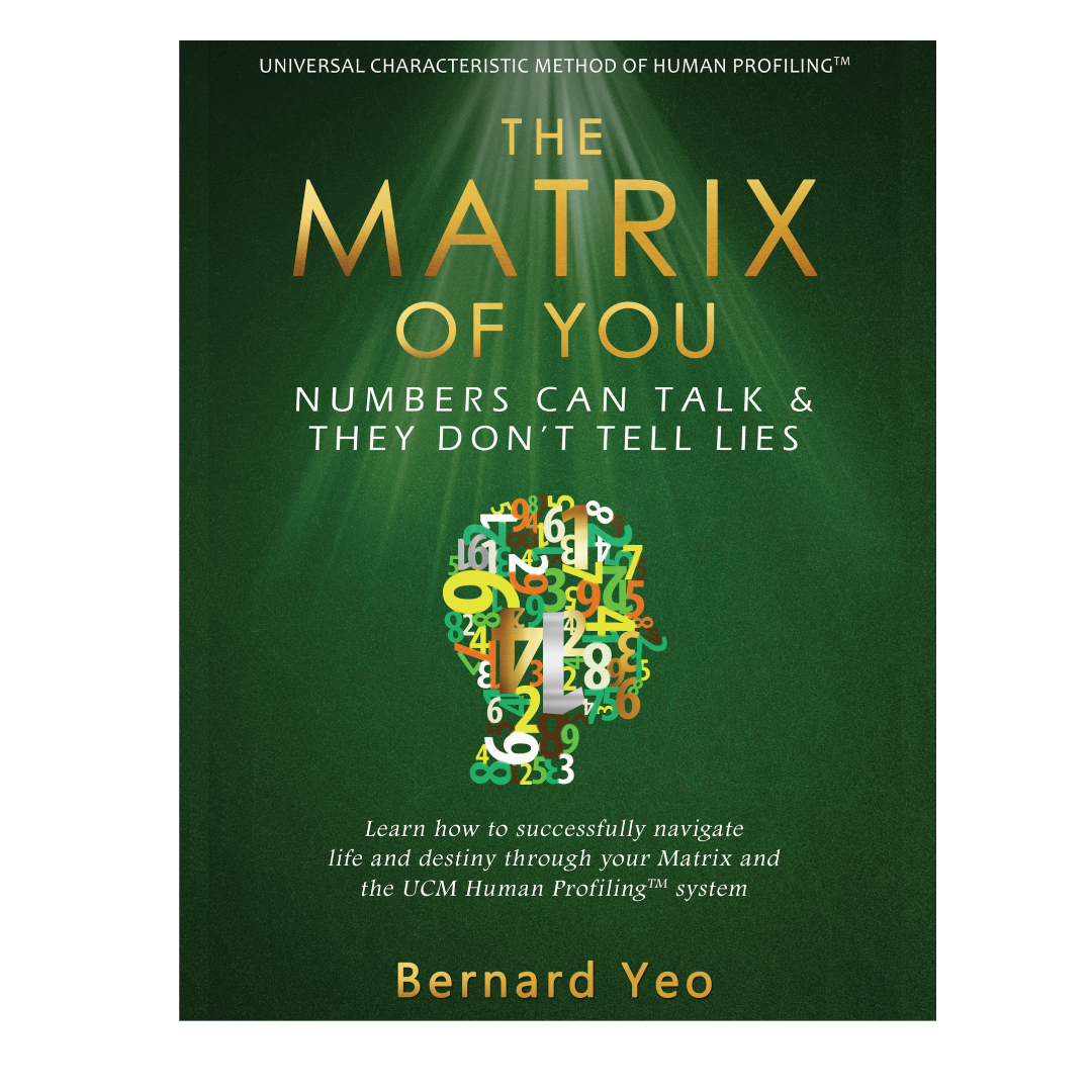 THE MATRIX OF YOU - Ignite Your Destiny with the Power of Numbers
