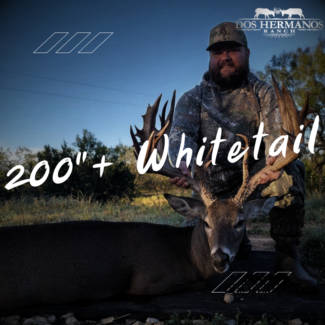 Trophy Texas Whitetail Ranch