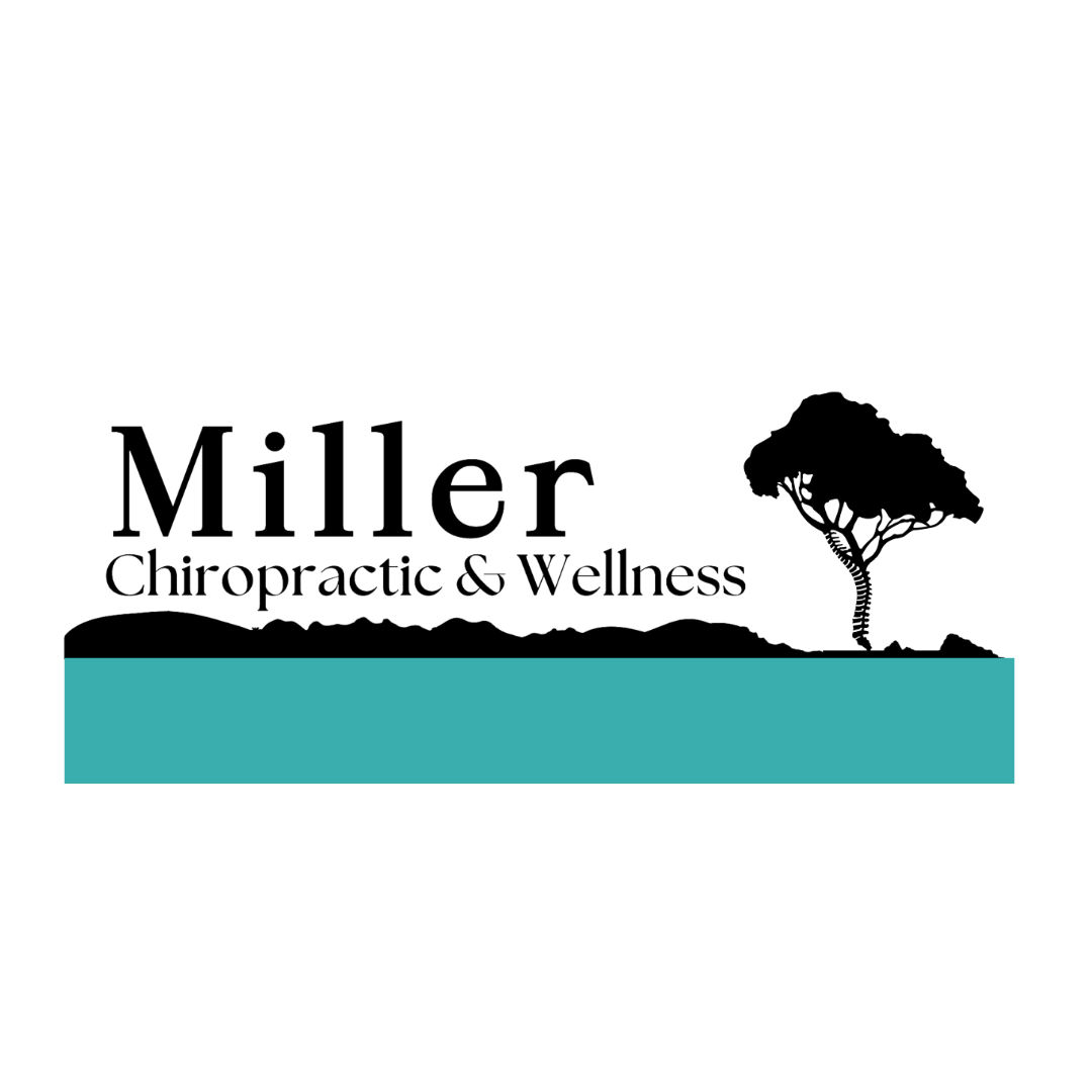 Alameda's Community Chiropractor