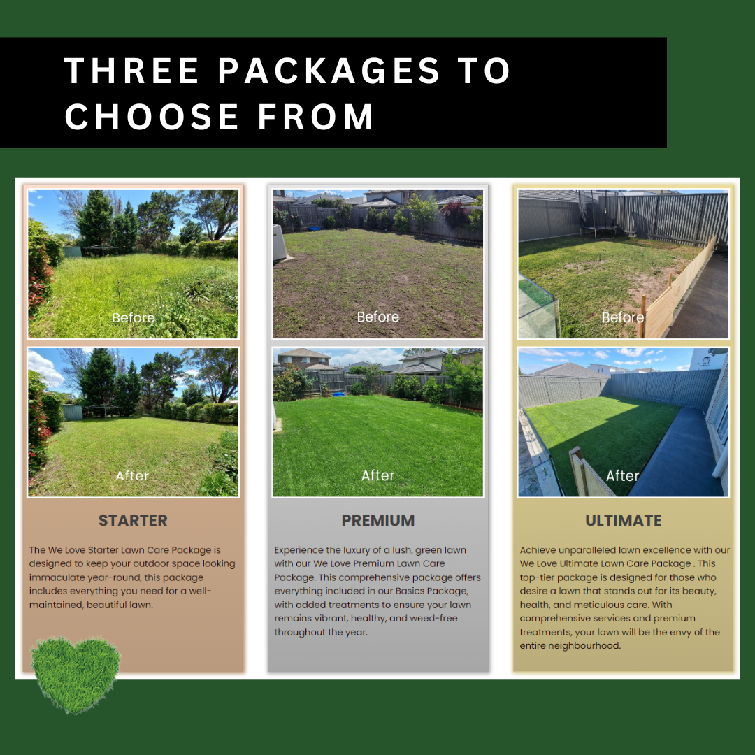 Affordable Lawn Care Packages for a Lush, Green Lawn