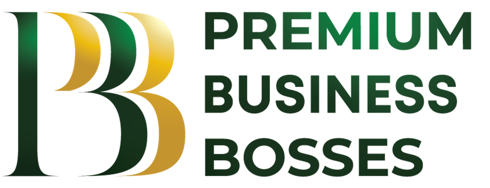 Expert Coaching for Your Entrepreneurial Vision | Premium Business Bosses