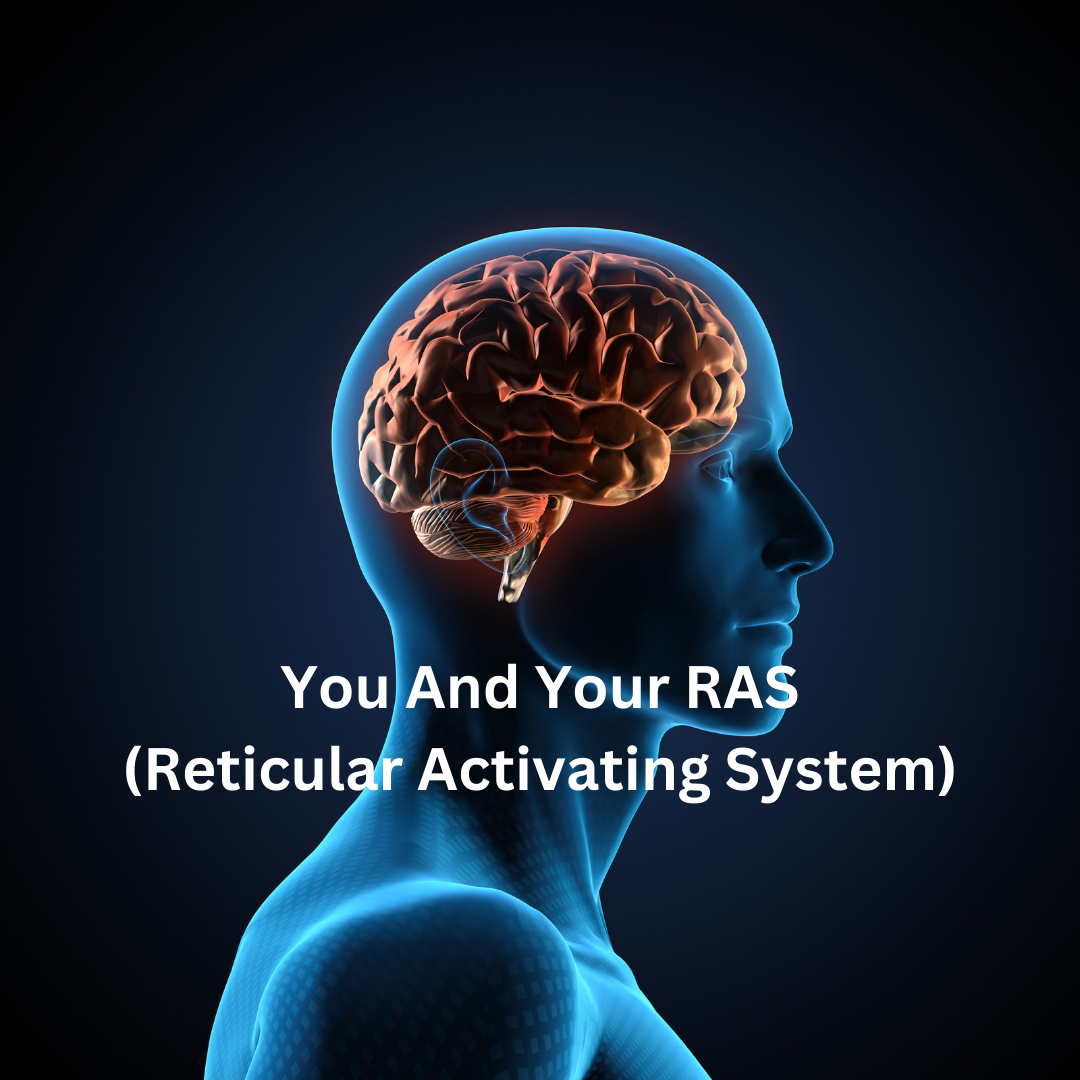 The Reticular Activating System: The Gateway to Unlocking the Power of ...