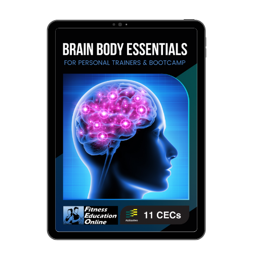 Brain Body Essentials 11 CECs