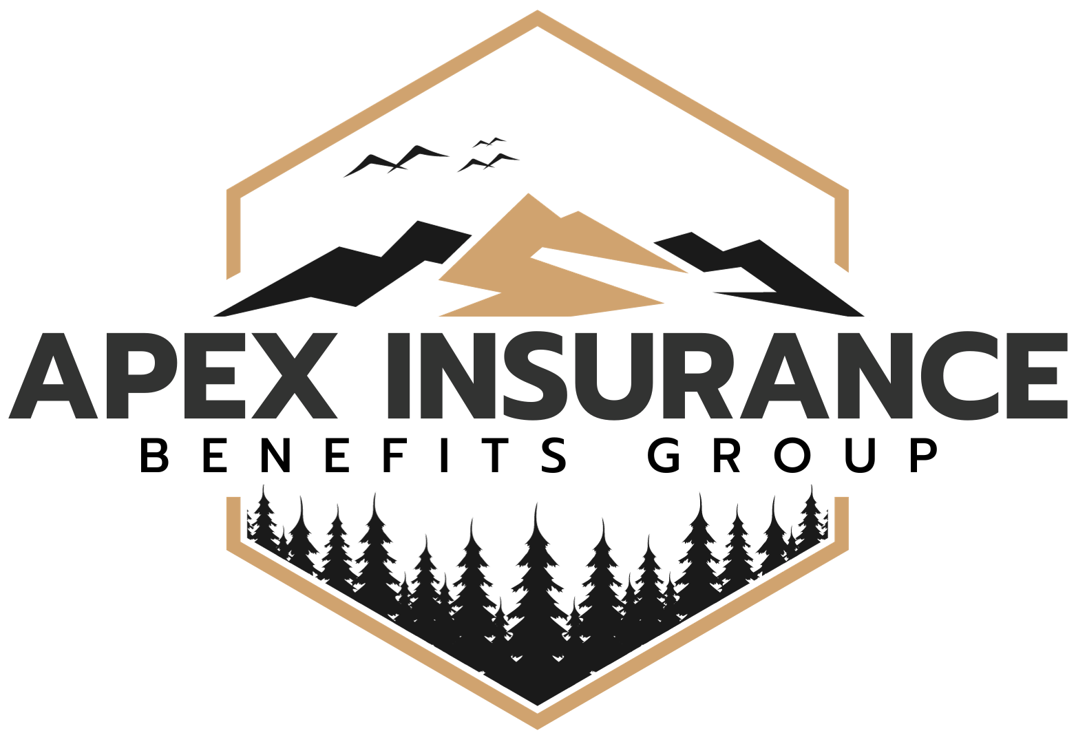 Disclaimer | Apex Insurance & Benefits Group