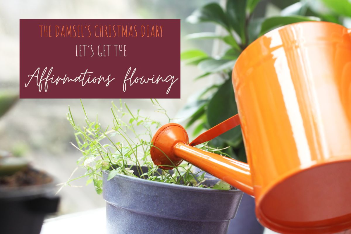 The Damsel's Christmas Diary Part Four: Let's get those affirmations ...