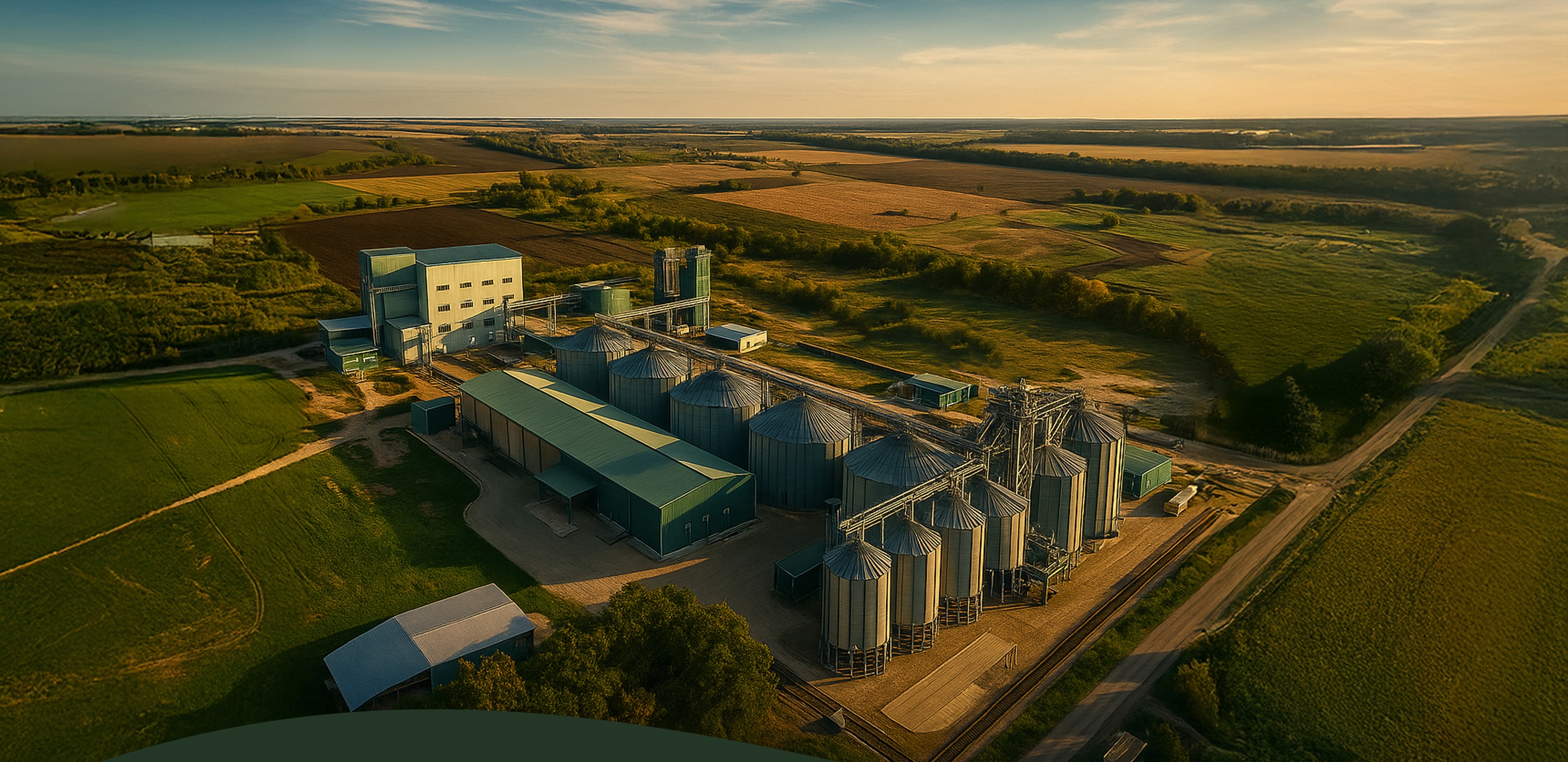 Swiss Agrolife AG | Global Supplier of Oilseeds, Grains & Agri-Products