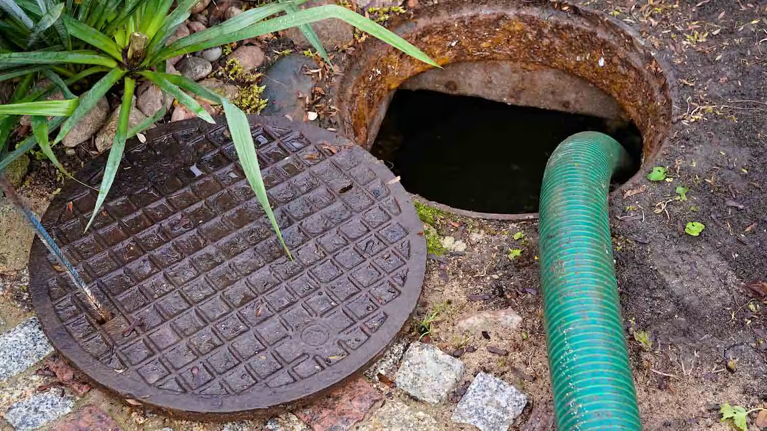 Septic Clean Out: Essential Guide for Homeowners