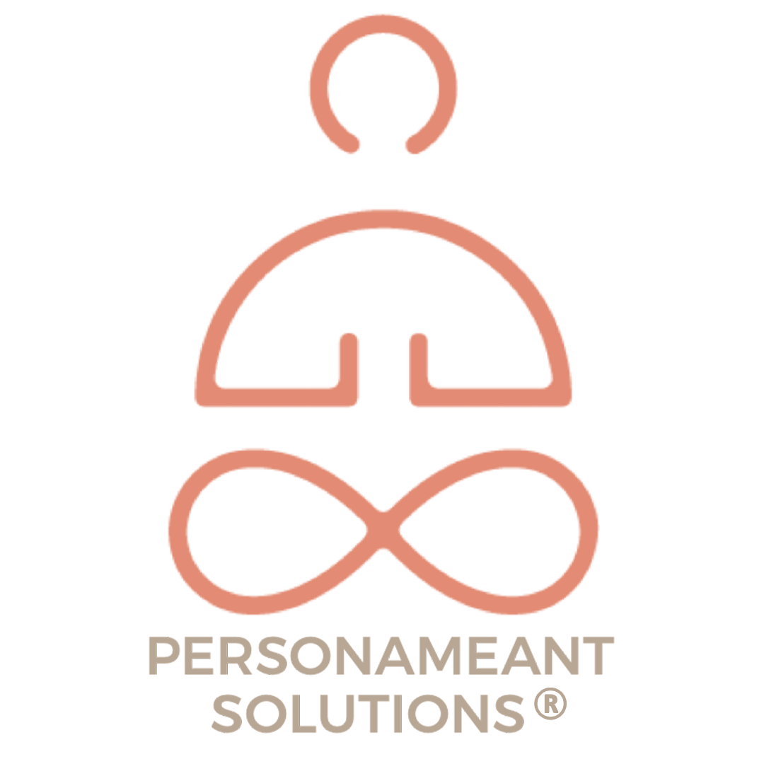 Personameant Solutions Capability Statement