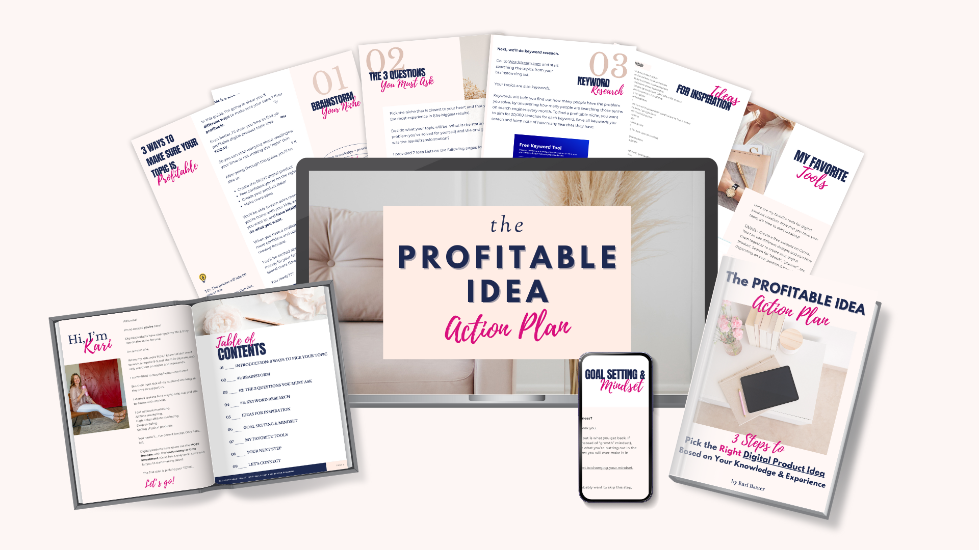 Profitable Idea Action Plan