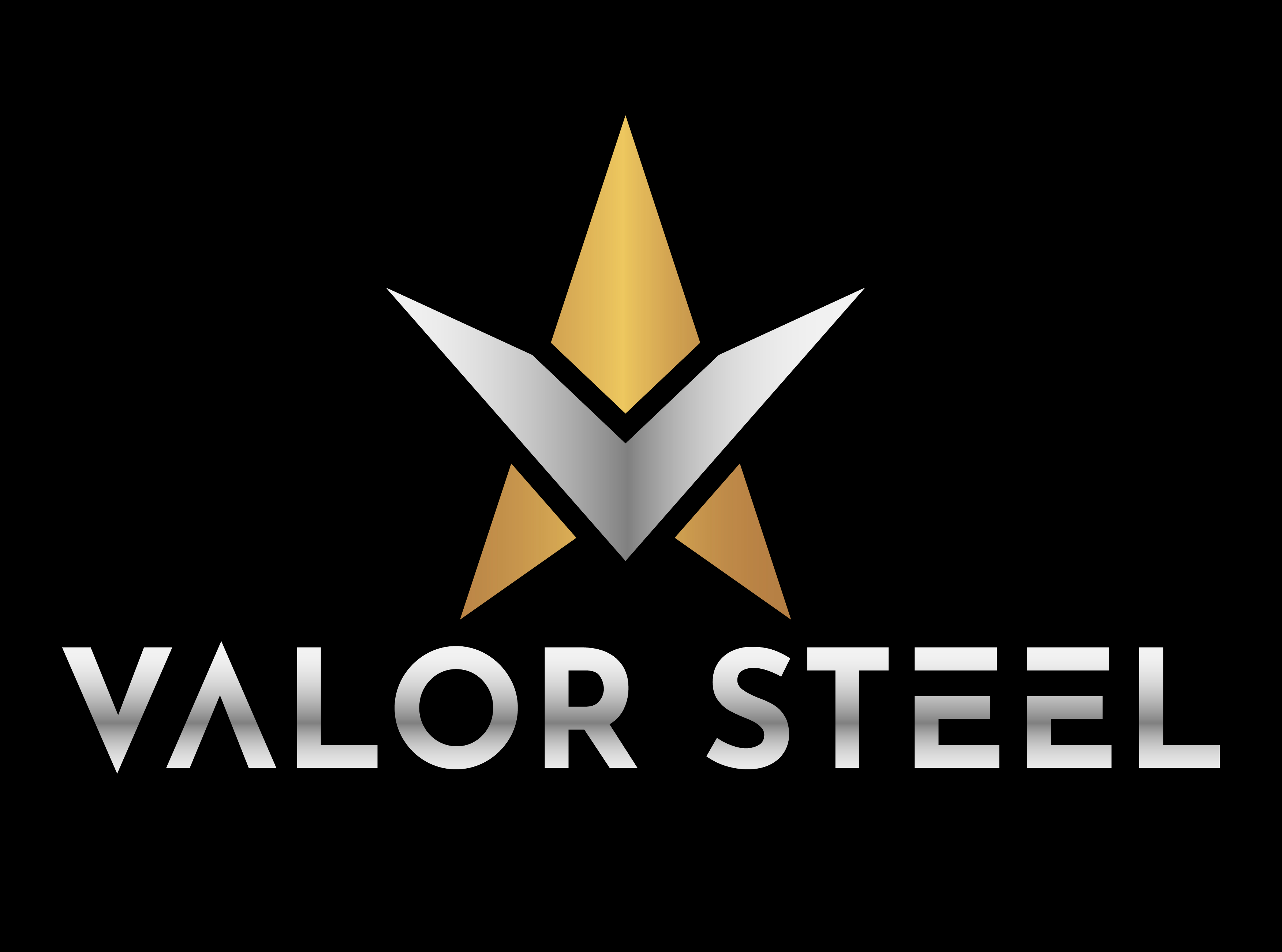 Valor Mission Critical