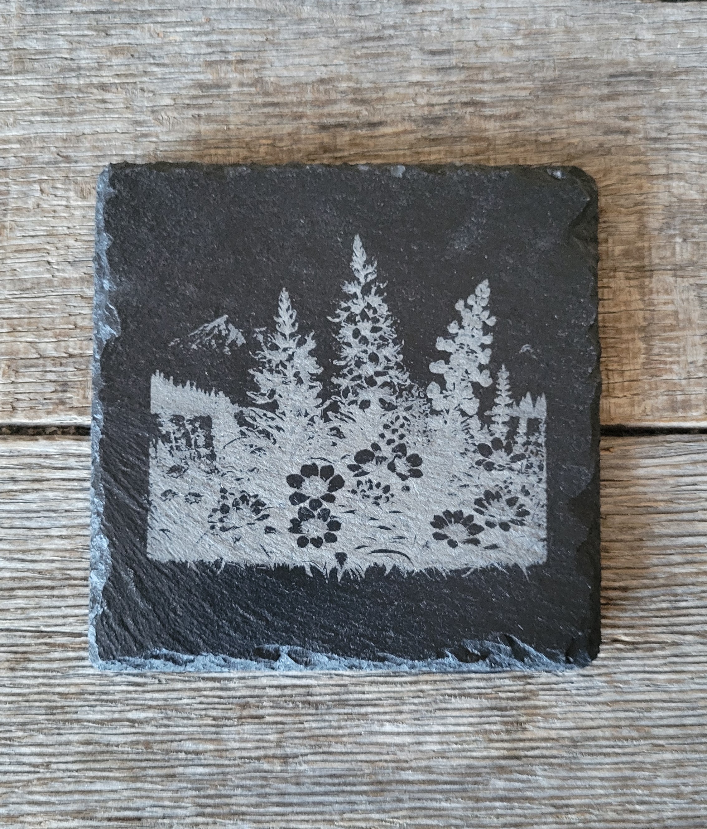 Colorado Wildflowers Slate Coaster