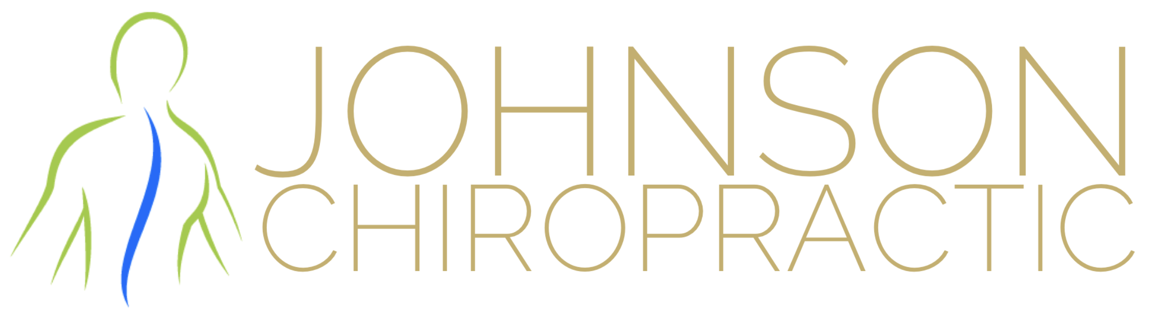 Johnson Chiropractic - META Offer