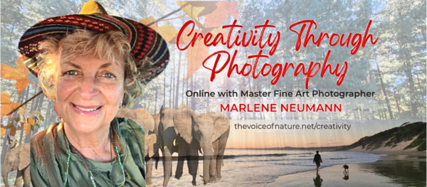 Creativity through Photography course - Marlene Neumann, Voice of Nature