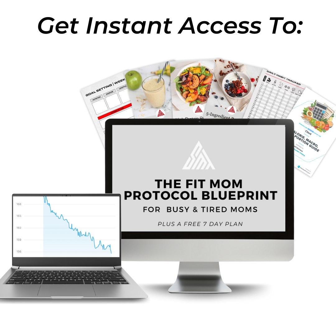 Fit Mom Protocol Blueprint
