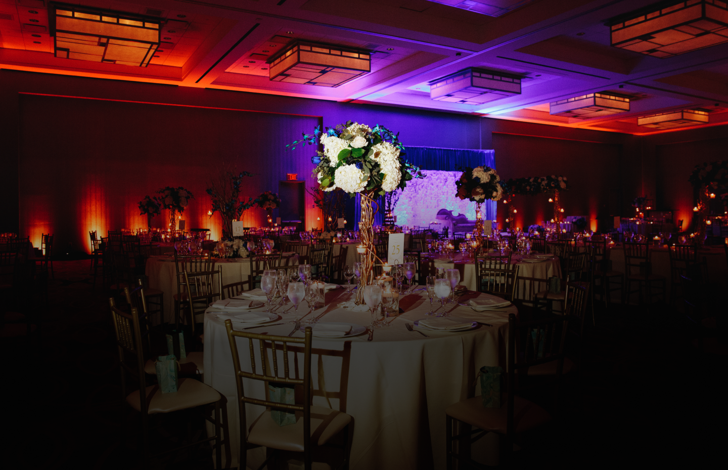 Professional Event Planning Services