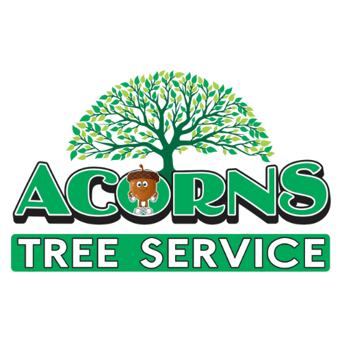 Experts On Tree Removal