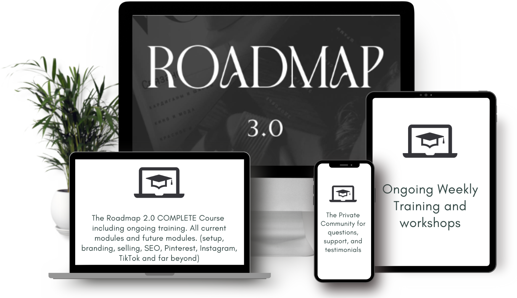 Roadmap to Riches Master Resell Rights Learn and Earn Profits