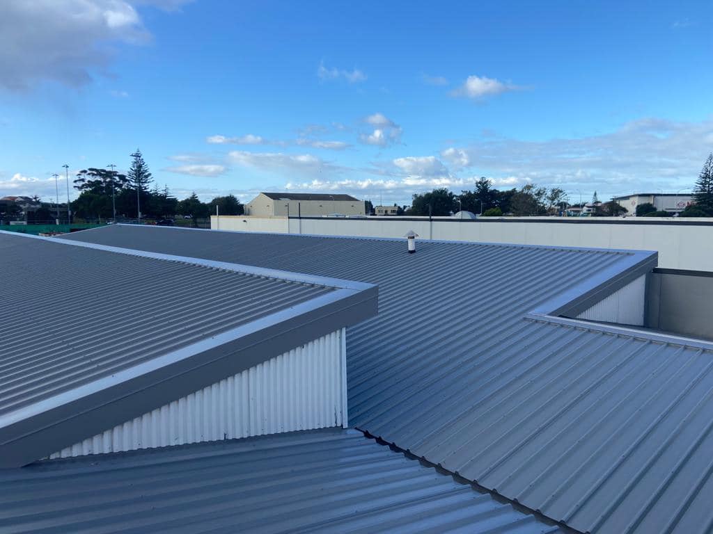 Dynamic Roofing Specialists | Bay of Plenty Roofing Services