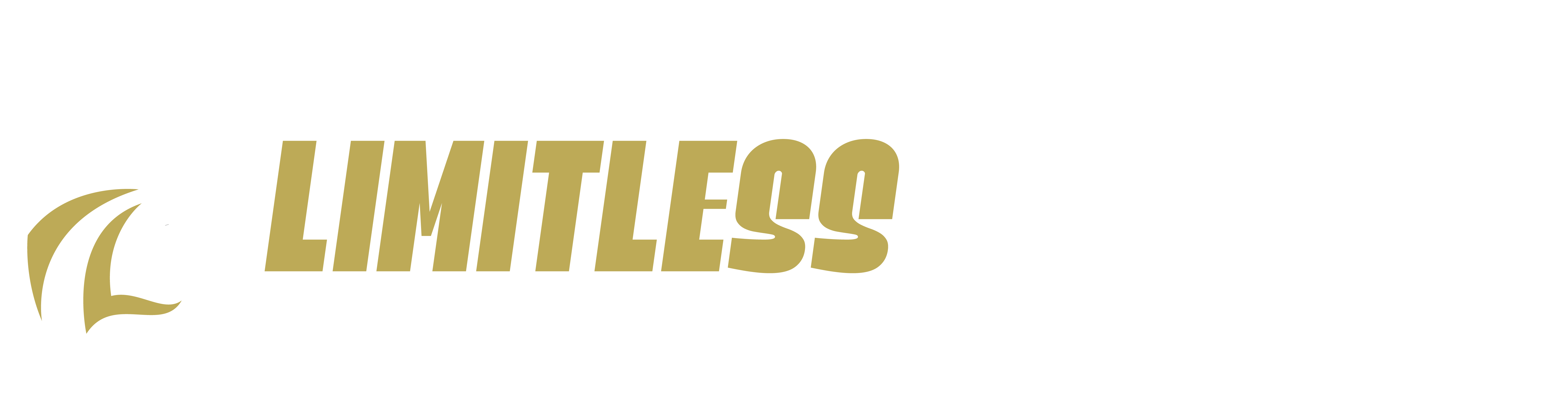 Limitless Lifestyle