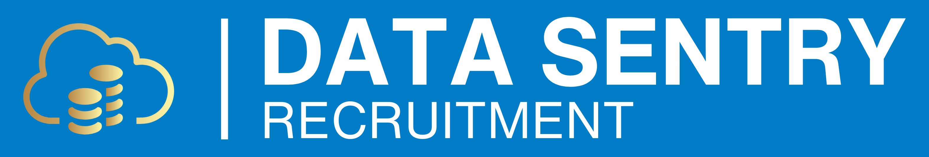 Data Sentry Recruitment