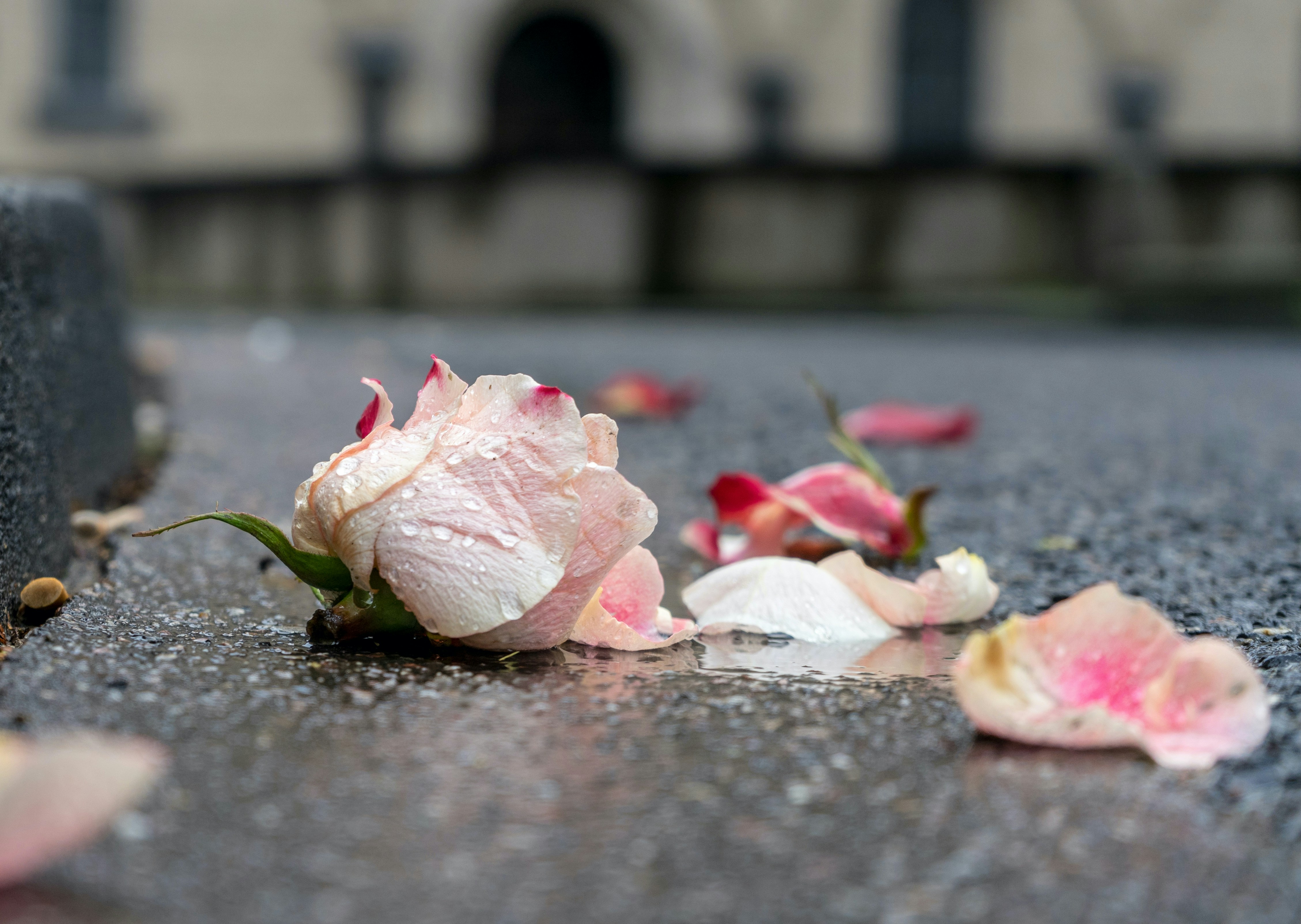 Discover How To Reduce The Devastating Sense Of Loss From A Breakup ...