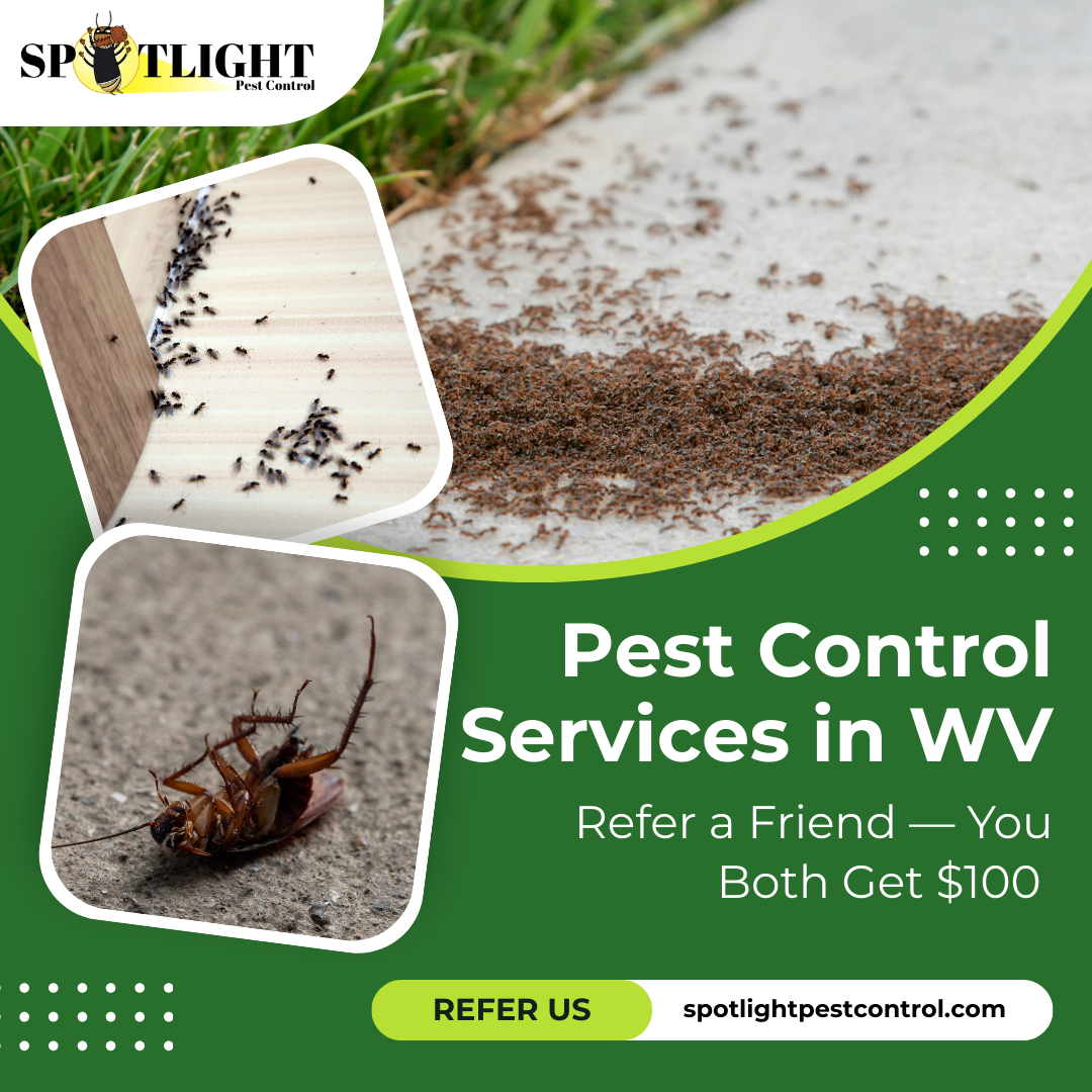 West Virginia Pest Control Services | Spotlight Pest Control