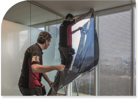 Pro-Shield Auto Glass & Tint