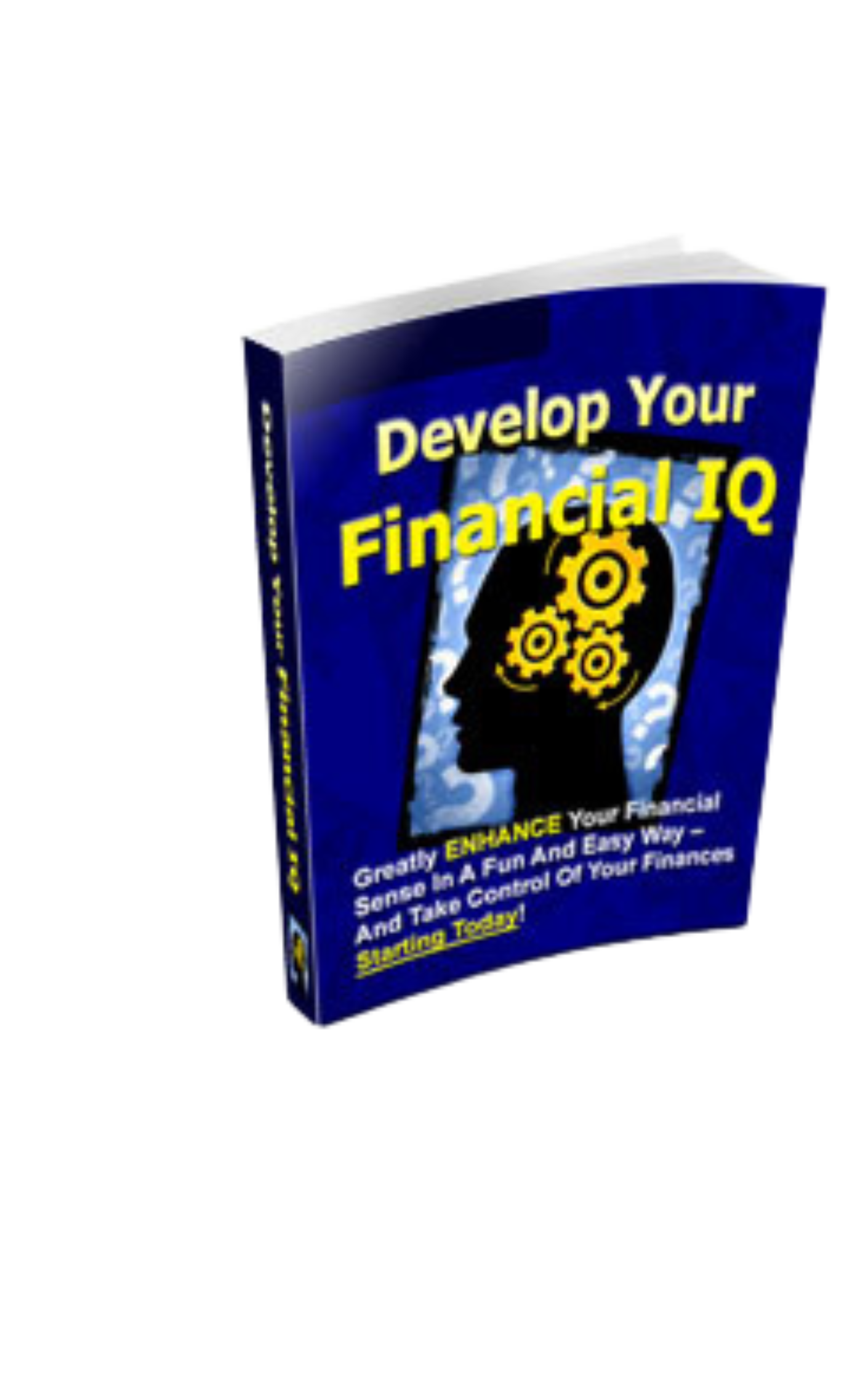 Develop Your Financial IQ